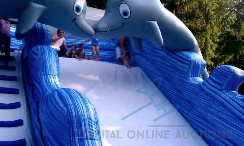 Giant Dolphin Splash Water Slide